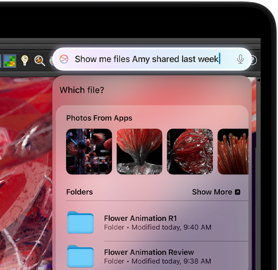 Buy MacBook Pro M4 – Latest Model, Features & Offers | India iStore